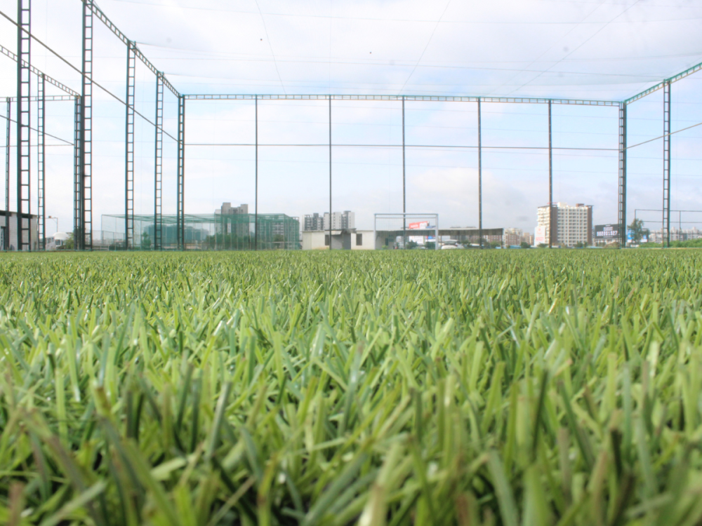 Turf – Sportsage